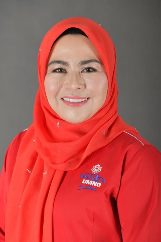 Wanita UMNO urges government to improve guidelines for film industry ...