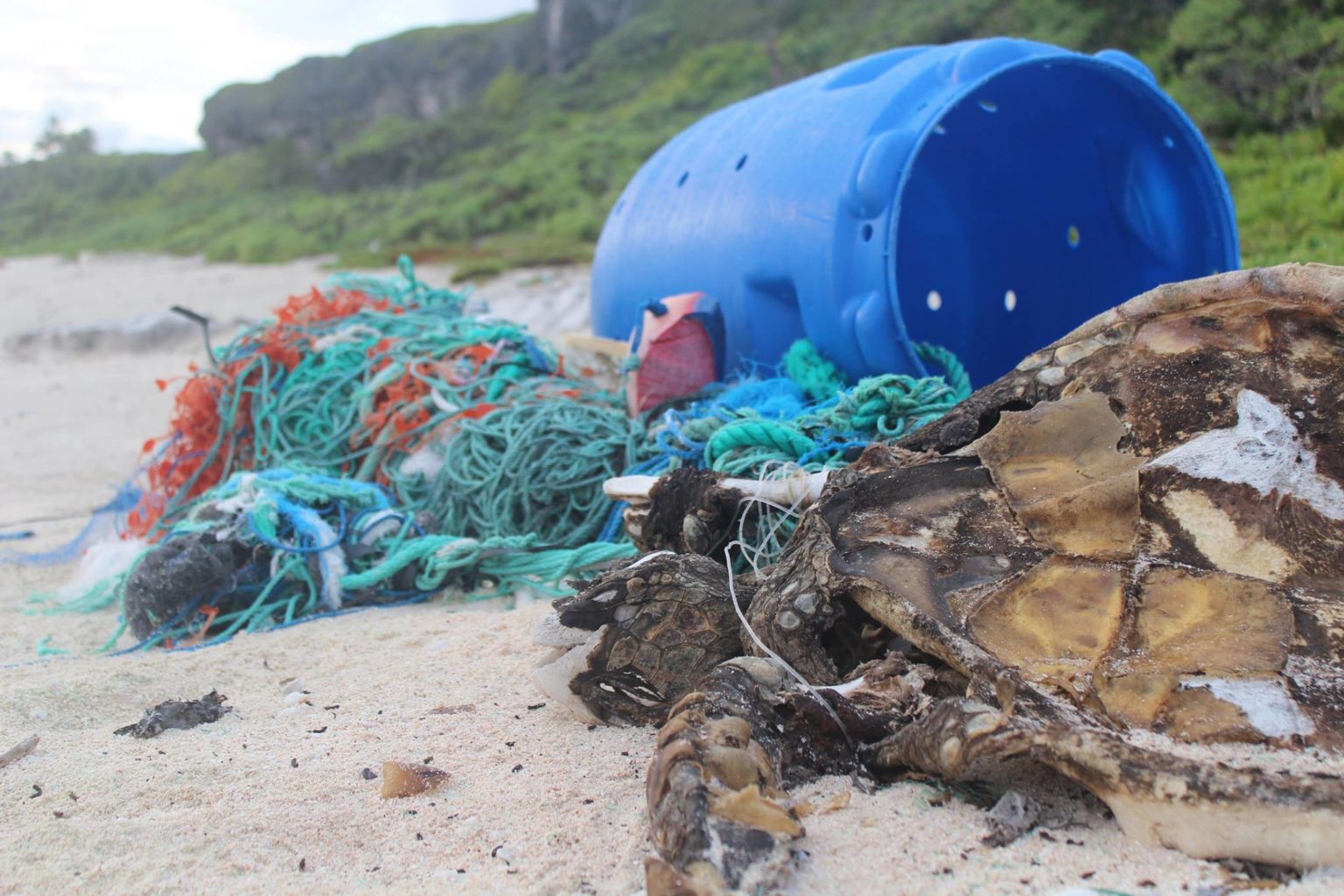 15 Lions Clubs Join Forces With MBPJ To Raise Awareness On Plastic ...