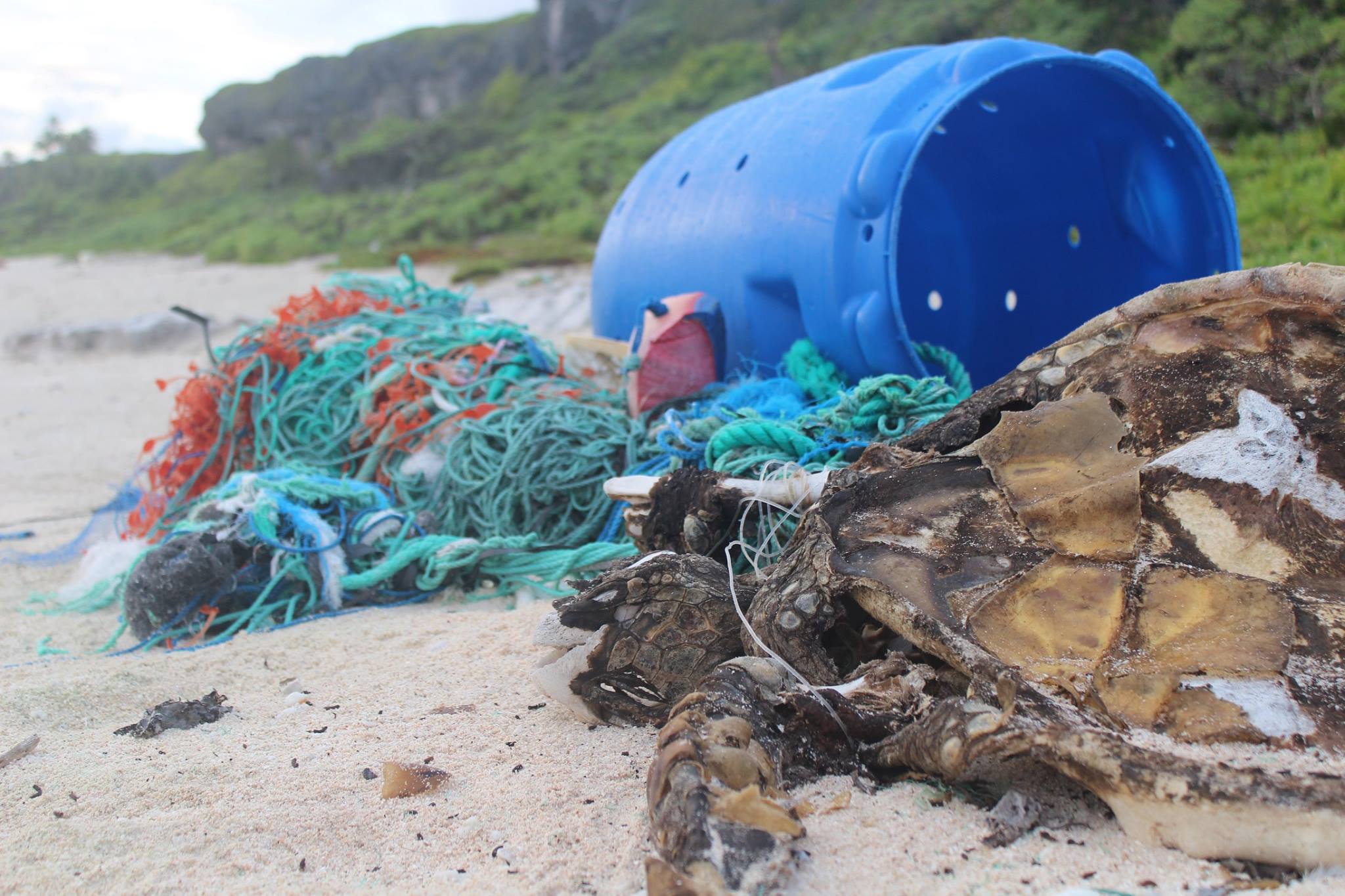 15 Lions Clubs Join Forces With MBPJ To Raise Awareness On Plastic ...