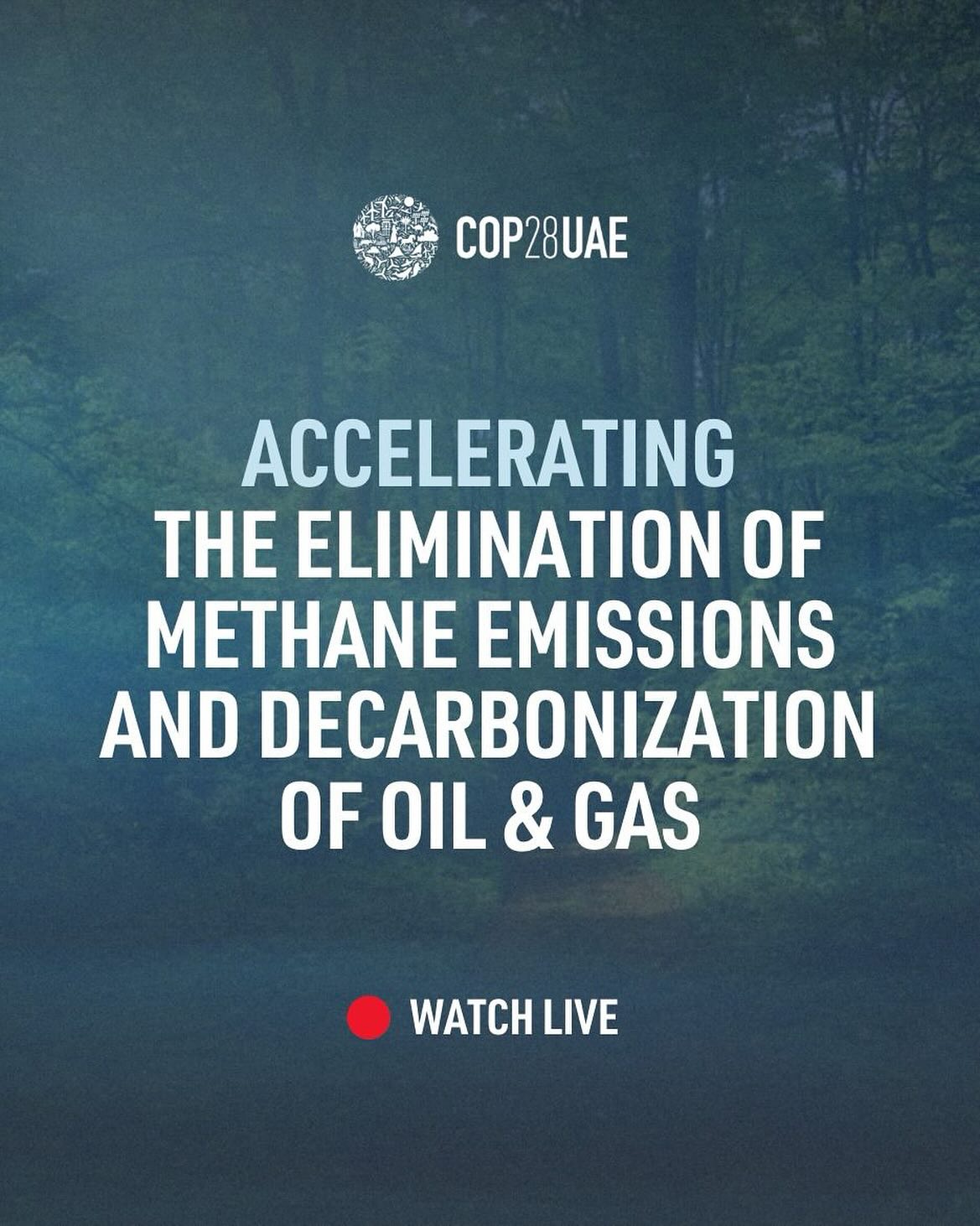 Why methane emissions matter in mitigating climate change | Weekly-Echo
