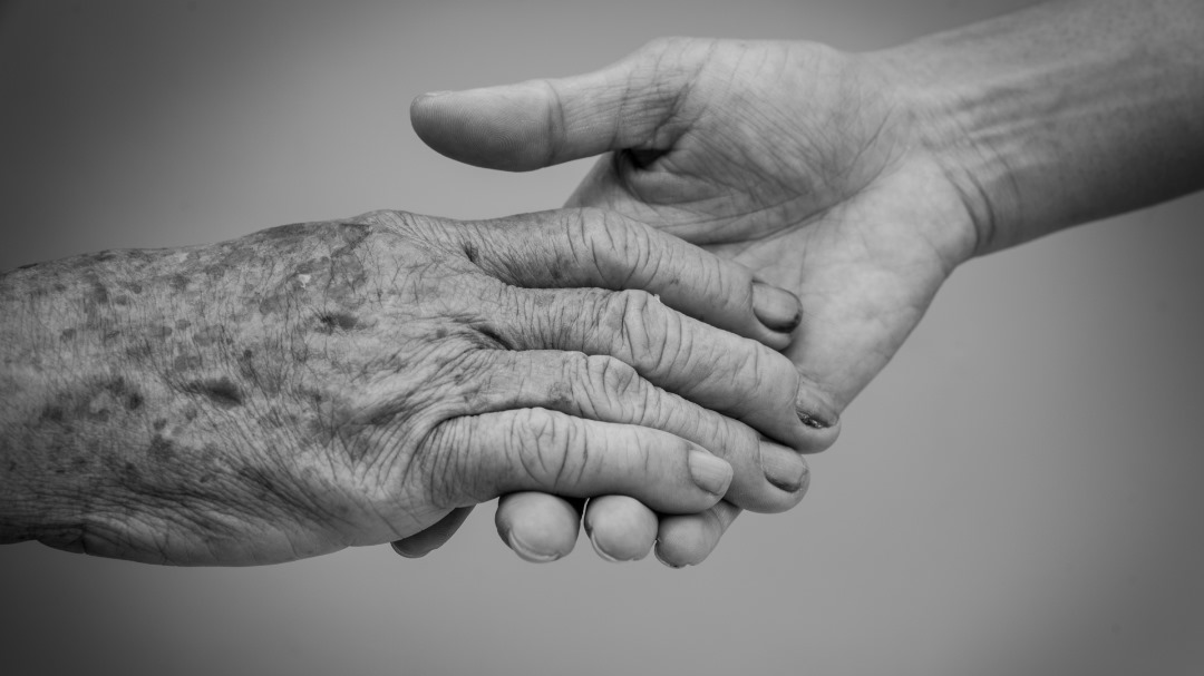 The rights of the elderly | Weekly-Echo