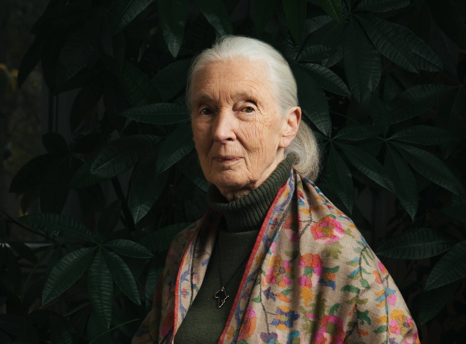 Prince William pays tribute to conservationist Jane Goodall | Weekly-Echo
